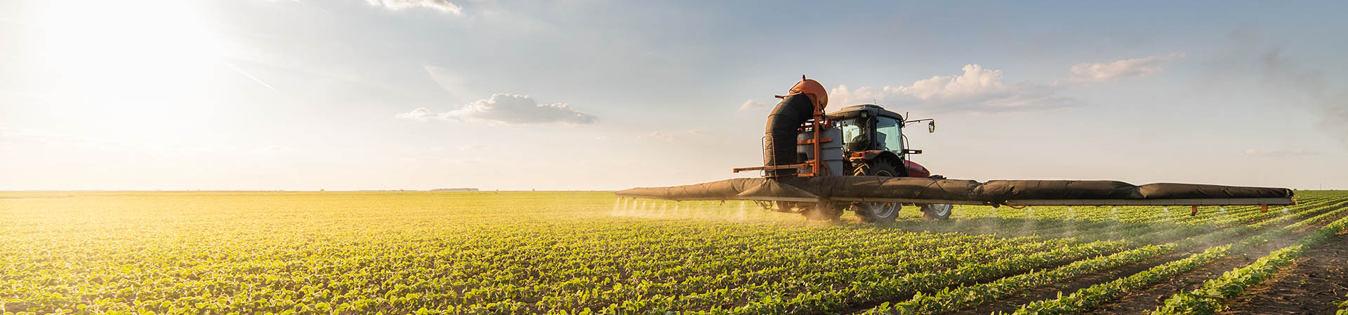 Crop Protection - Bio-Gene Technology Limited
